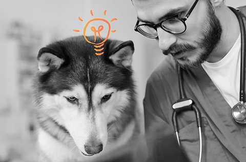 Vets in Mind – Providing quality information about mental health and ...